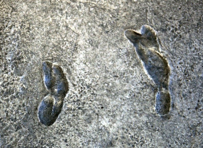 New footprint finds on Crete challenge our understanding of when humans ...