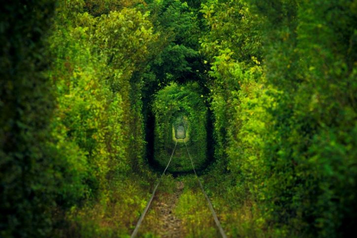 "Constructed" by freight trains, Ukraine's Tunnel of Love is now an ...