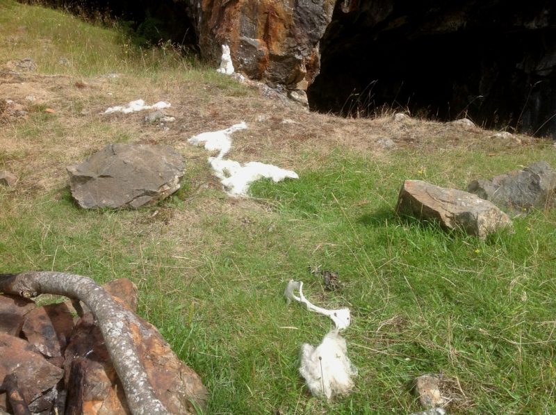 In search of Monty Python's Killer Rabbit and Wooden Witch | The ...