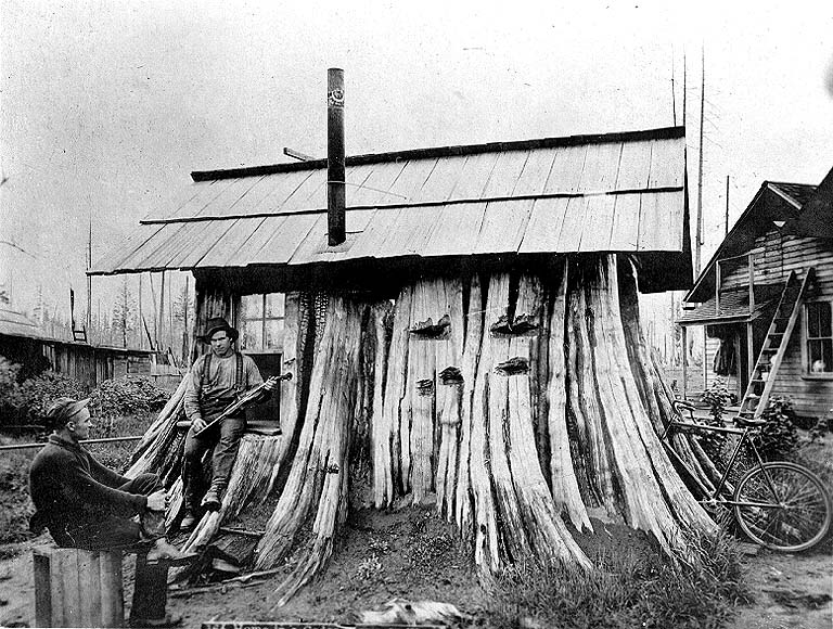 New Settlers to the Pacific Northwest Lived in Ingenious Tree Stump ...