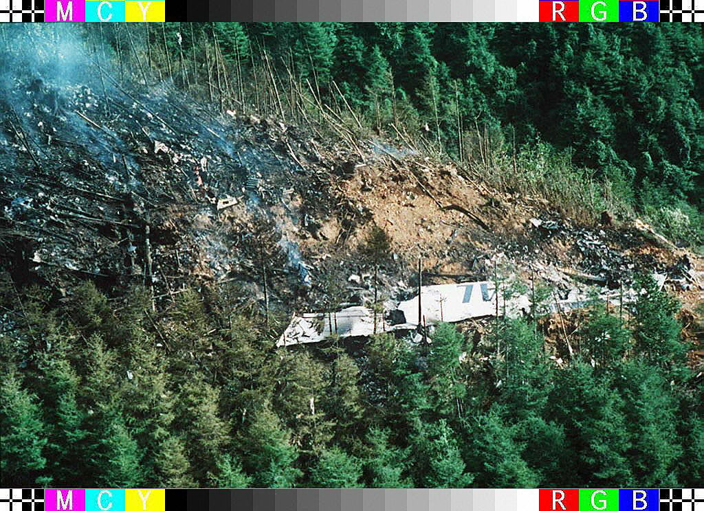 Japan Airlines Flight 123 Survivors: Only Four Passengers Escaped This ...