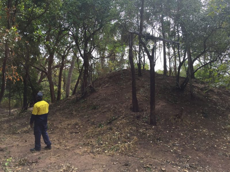 Ancient mound builder culture of northern Australia revealed, with many ...