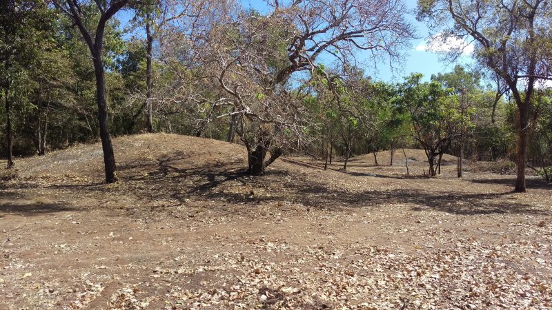 Ancient mound builder culture of northern Australia revealed, with many ...