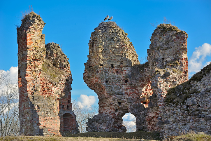 The Vastseliina Castle in Estonia: The mighty stronghold, now in ruins ...