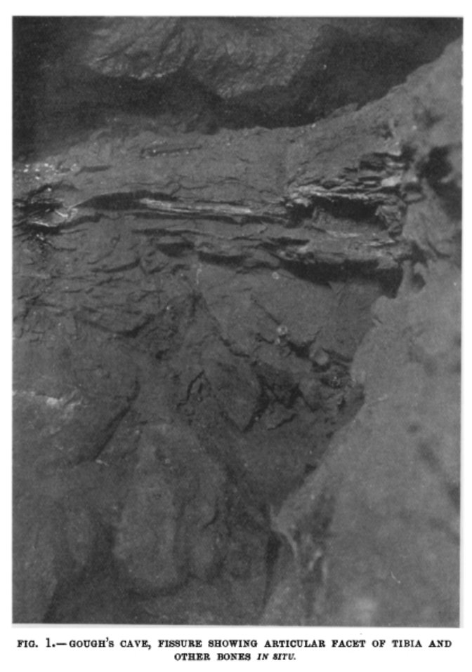 Using DNA technology, research team re-creates physical appearance of ...