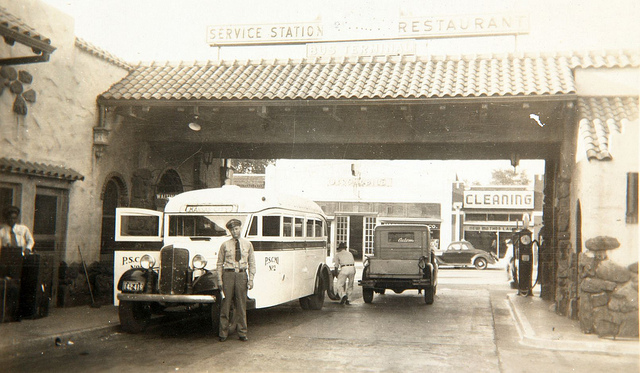 Cobras in Springfield, Missouri’s cobra scare of 1953 | The Vintage News