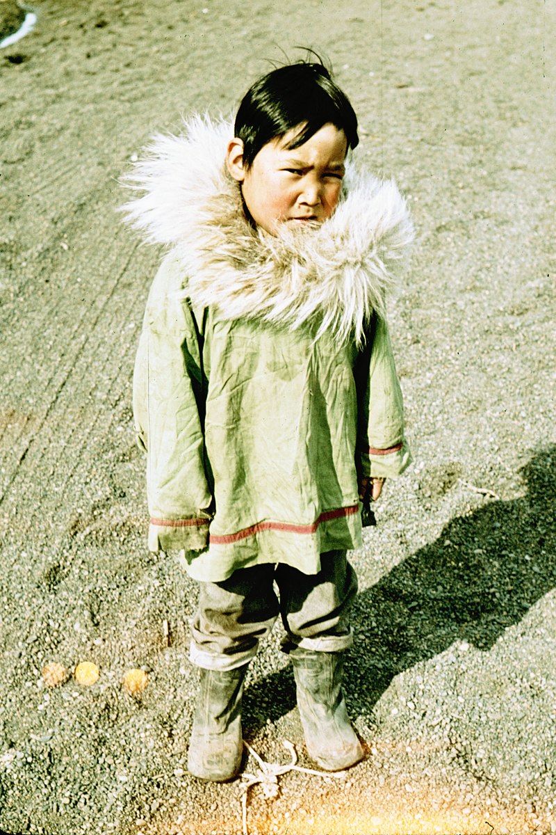 Fascinating Pictures Showing the Arctic Lifestyle of the Inuit People ...