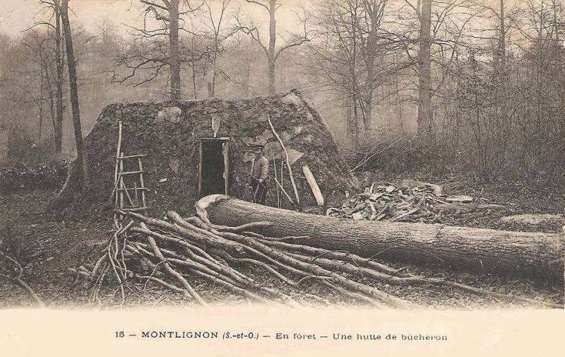 Photos: The Golden Age of Lumberjacks and Giant Redwoods they Battled ...