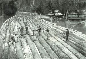 Photos: The Golden Age of Lumberjacks and Giant Redwoods they Battled ...