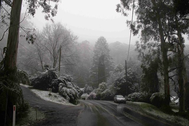 LSD Cult for Children: The Rise and Fall of "The Family" | The Vintage News