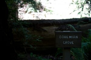 Bohemian Grove: The Secret All-Male Campground for the Rich and Famous ...