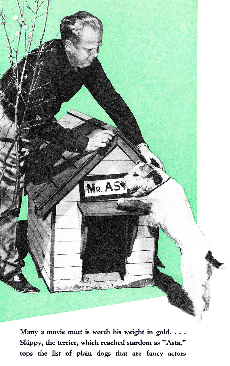 The Most Beloved (and Highest Paid) Dog in Golden Age Hollywood | The ...