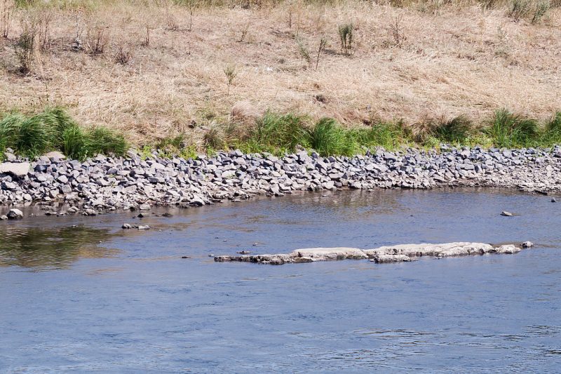 "Hunger Stone" Warnings - Haunting Messages From the Past Uncovered by ...