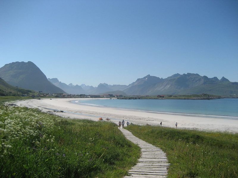 The Orgiastic Drunken Spectacles of Viking Religious Ceremonies | The ...