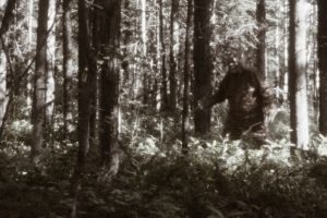 The 'Dogman' of Michigan: A Legend with More Sightings than Bigfoot ...