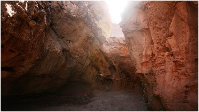 A Headpiece of 405 Gerbil Teeth Found Among Dead Buried in Kenya's ...