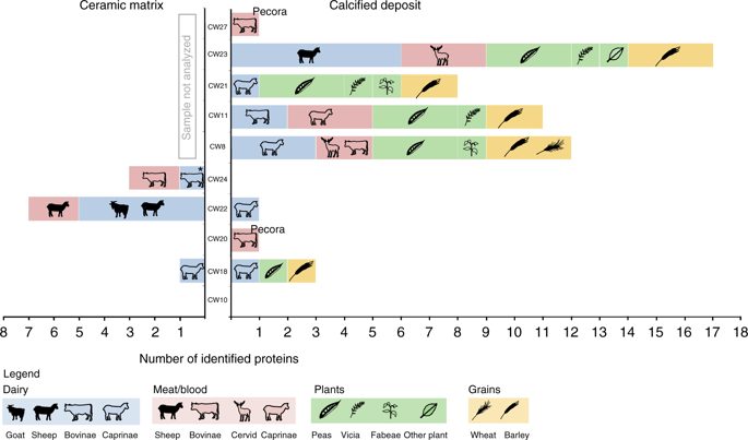 8,000-yr-old Dishes Reveal the Types of Food Neolithic Humans Ate | The ...