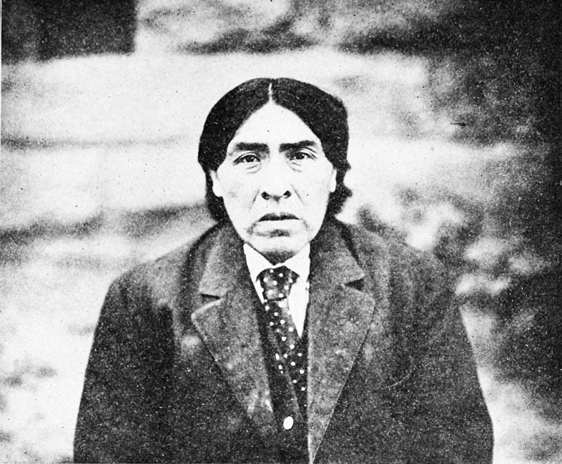 He Came From the Woods: The Story of the Last "Wild" Native American ...