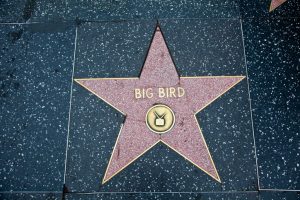 Nostalgia Alert! Original Big Bird Leaves Sesame Street After 50 Years ...