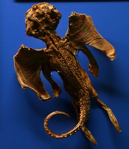 The Grotesque Little Monsters Sailors used to Present as Souvenirs from ...