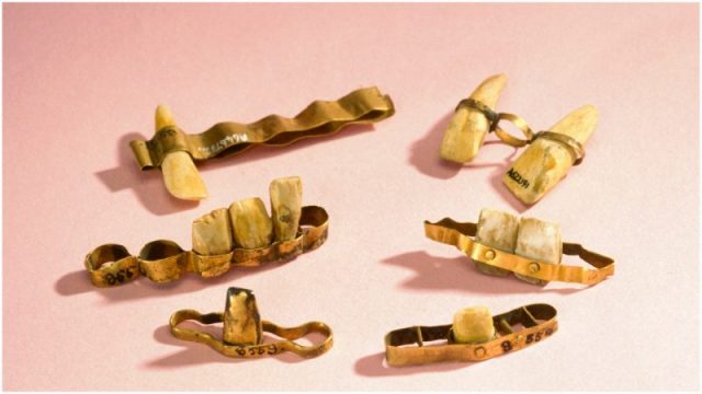 Taryn Smee, Author at The Vintage News