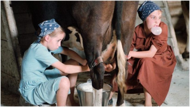 Rare Early Photographs of the Amish Way of Life | The Vintage News