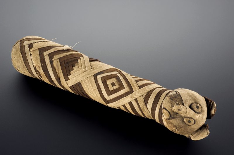 Mummified Mice Found in Colorful 2,000-year-old Egyptian Tomb | The ...