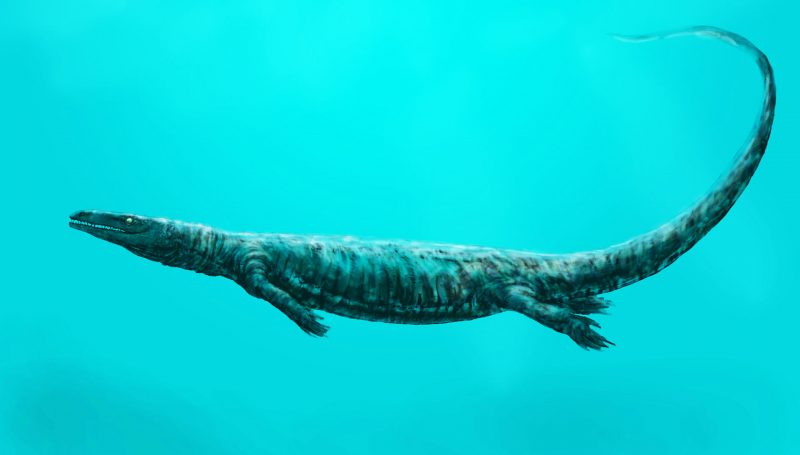 T-Rex of the Ocean - Fossils of Giant 'Sea Monster' Found | The Vintage ...