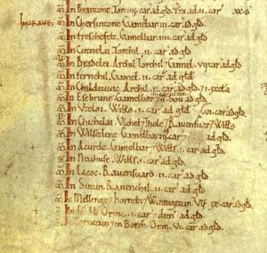 The Domesday Book - Early England's Most Important Document | The ...
