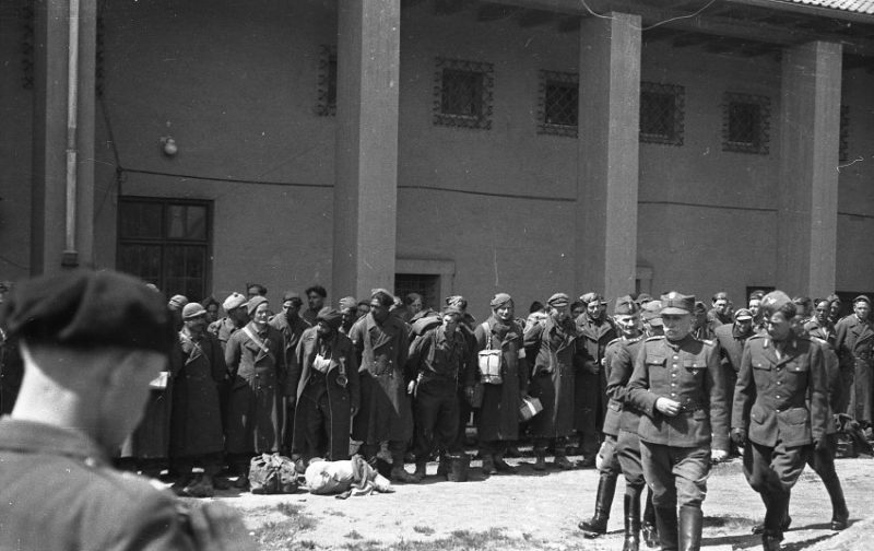 Box of Film Rolls Found in the Trash that Capture Life Inside a Nazi ...