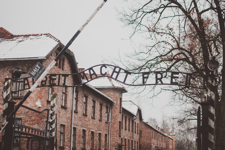 Hidden Stash of Prisoner Artifacts Discovered Inside Auschwitz Chimney ...