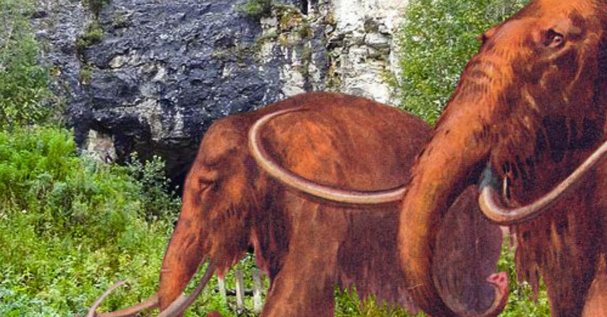 50,000-Year-Old Ivory Tiara Made From Woolly Mammoth Tusk Unearthed In ...