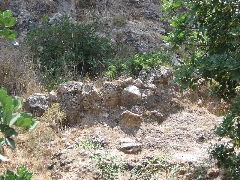 Archaeologists Discover 14,400 Year-Old Bread in Jordan | The Vintage News