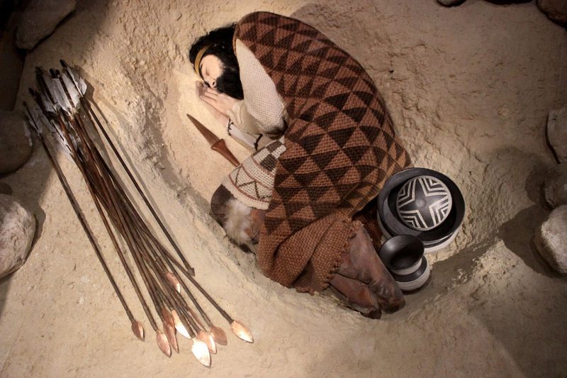Largest DNA Study of its Kind Suggests the Disappearance of Iberian Men ...