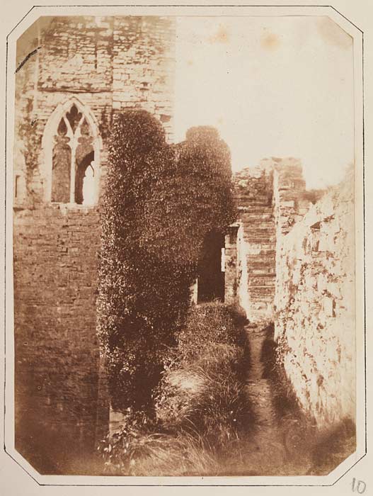 Rare Photographs Show the Silly Side of Life in the 1850s | The Vintage ...