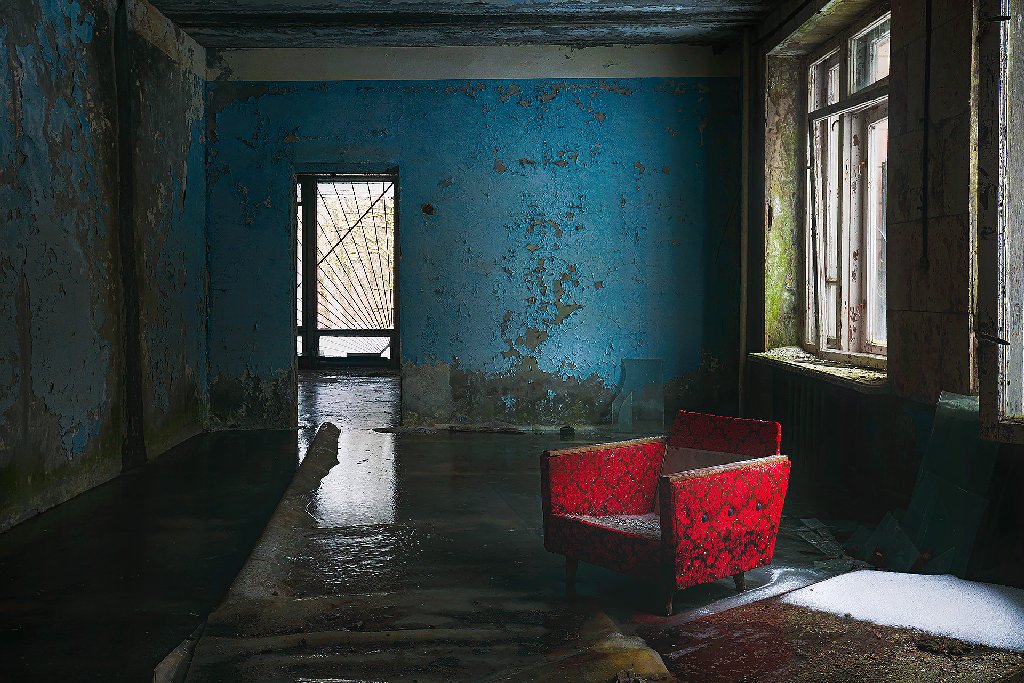 Fungus Found Growing at Chernobyl that Actually EATS Radiation | The ...