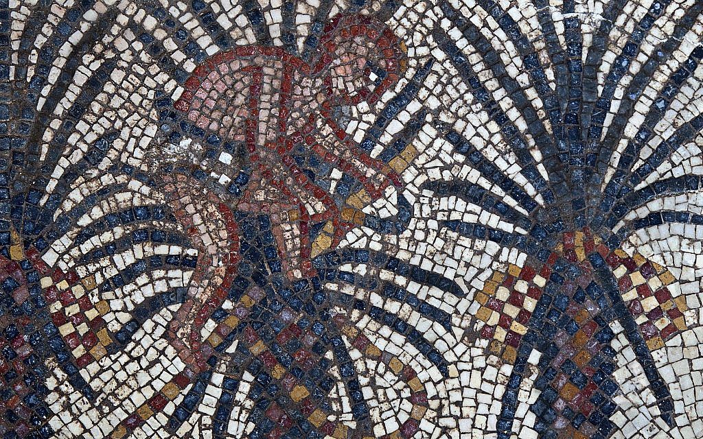 Stunning 1,600-yr-old Biblical Mosaics Found in Ancient Galilean ...