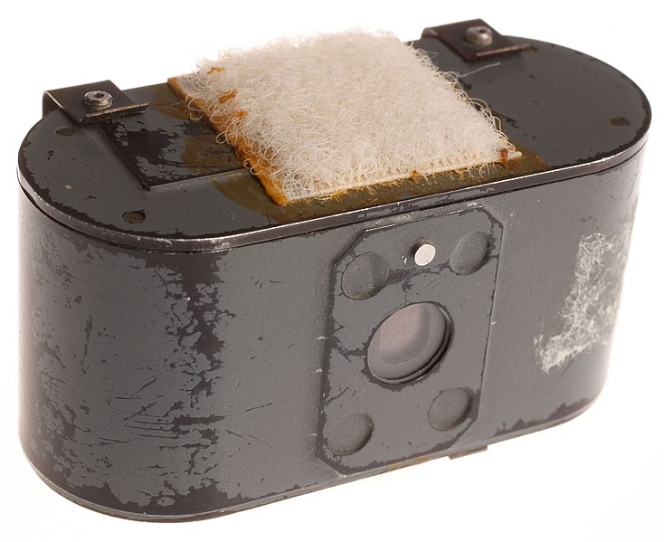 Declassified Files Reveal CIA's use of Spy Pigeons During the Cold War ...