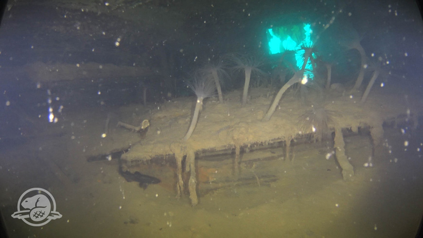 "Frozen in Time" Arctic Shipwreck of HMS Terror - See how it Looks ...