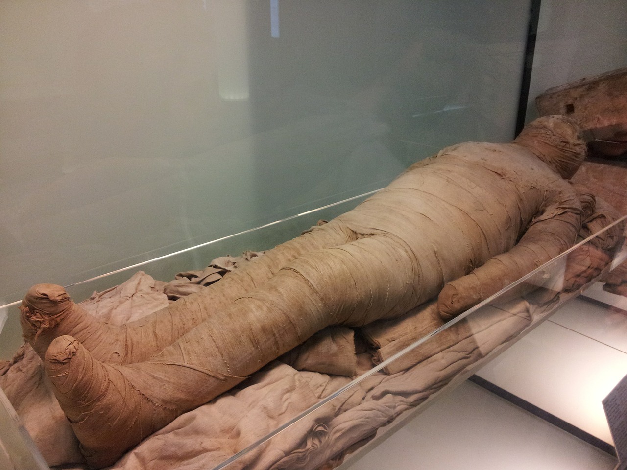 In Photos: The Weirdest Mummies of the World | The Vintage News