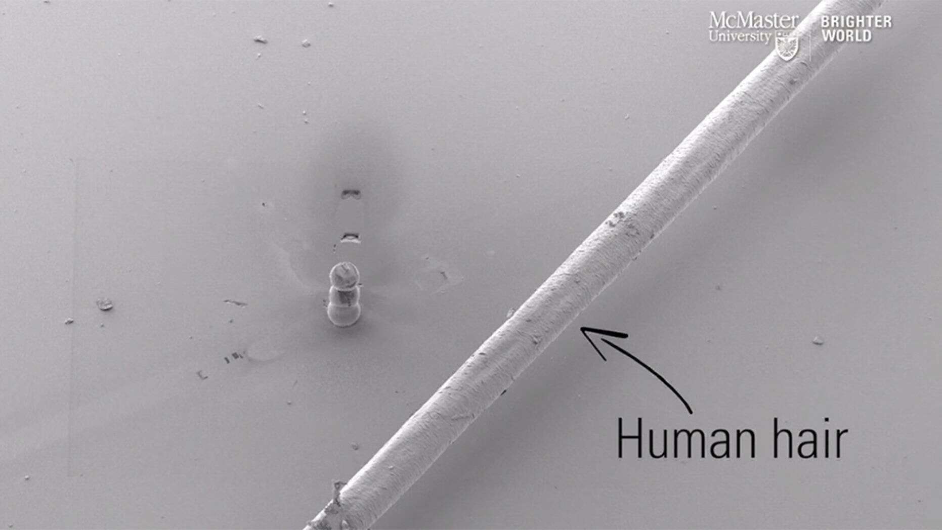 World's Tiniest Gingerbread House Created - Smaller than a Human Hair ...