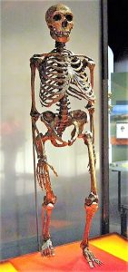 Amazingly Intact Neanderthal Skeleton Shows Sophisticated Burial Rites ...