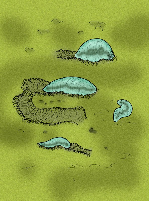 This Worm-Like Creature is our Earliest Ancestor and Holds the ...