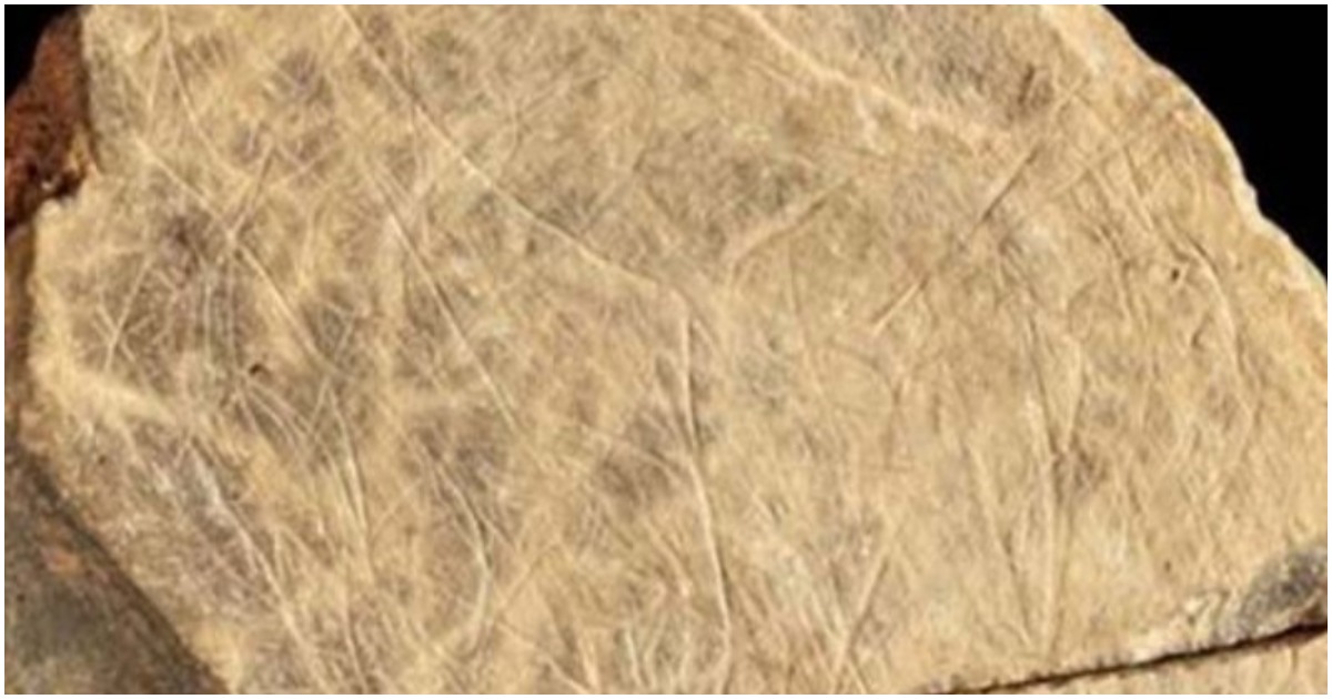 The Oldest Example of Human Art in the British Isles has Just Been ...