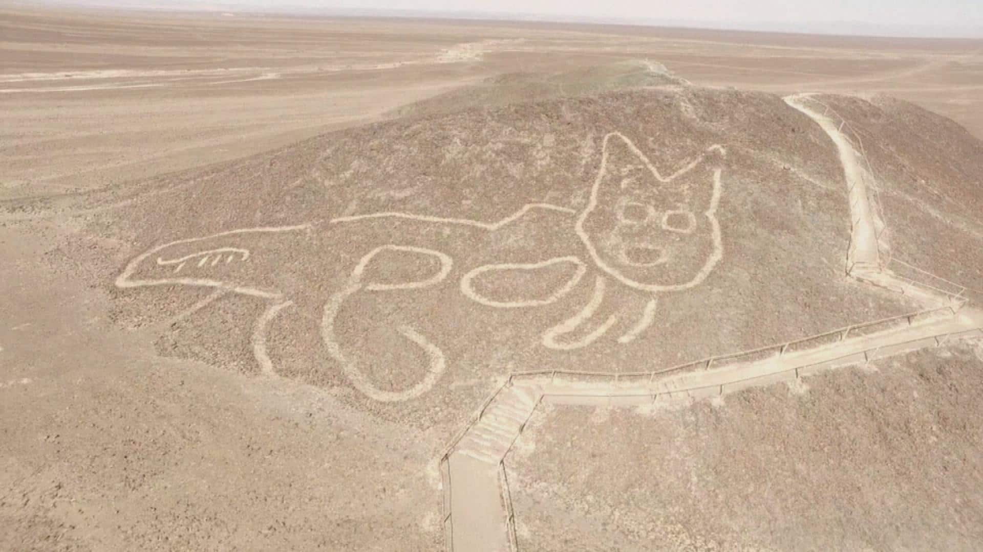 2,000 Year Old Cat Geoglyph Found Chilling on Peru's Nazca Lines | The ...