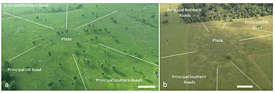 Discovered, Vast Network of Amazon Villages Laid out Like ...