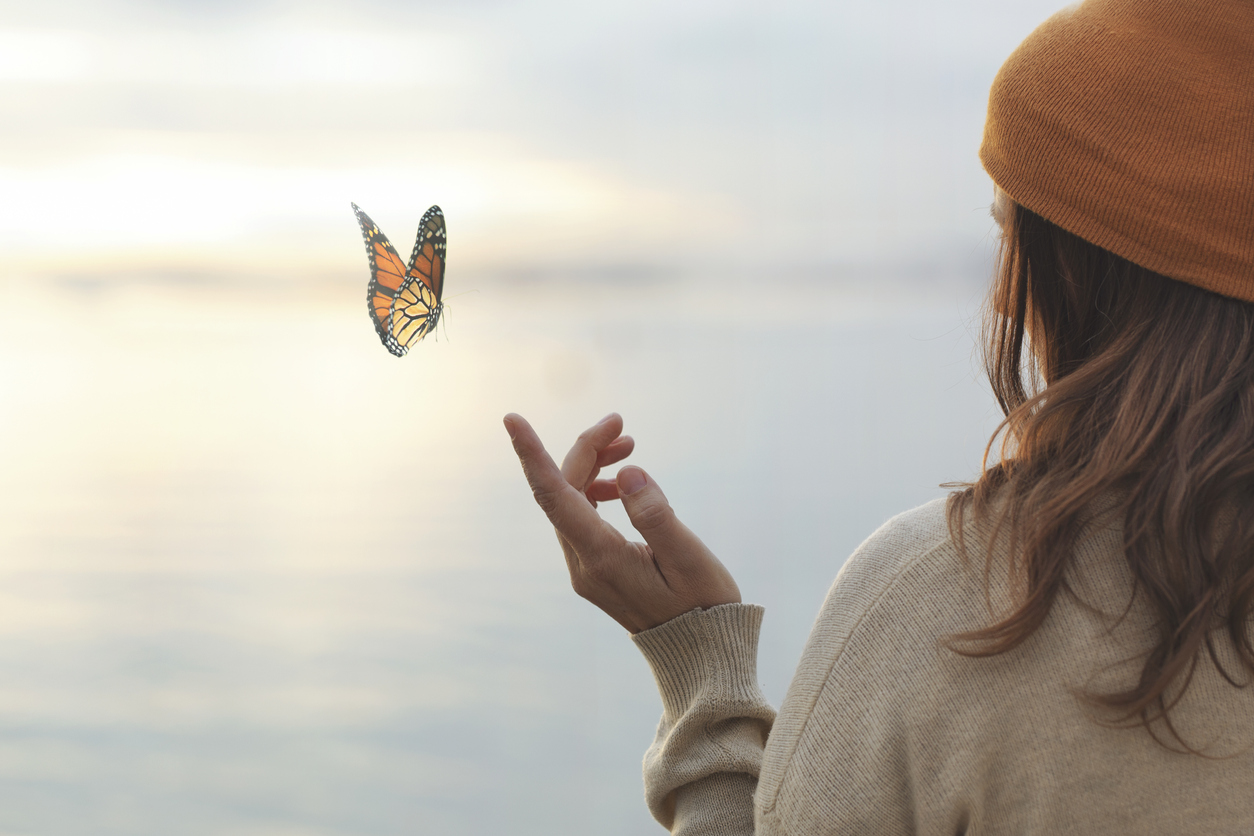Butterflies Create Jet Propulsion When They Clap Their Wings | The ...