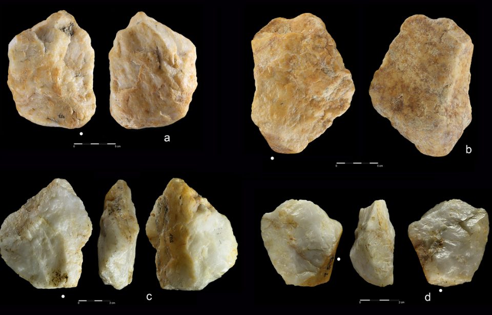 Million-Year-Old Ancient Tools Used By Homo Erectus Found In Sudan ...
