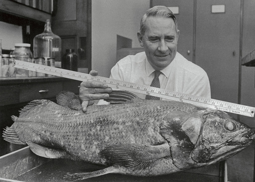 Coelacanth Fish Can Live Up To 100 Years, New Study Suggests | The ...