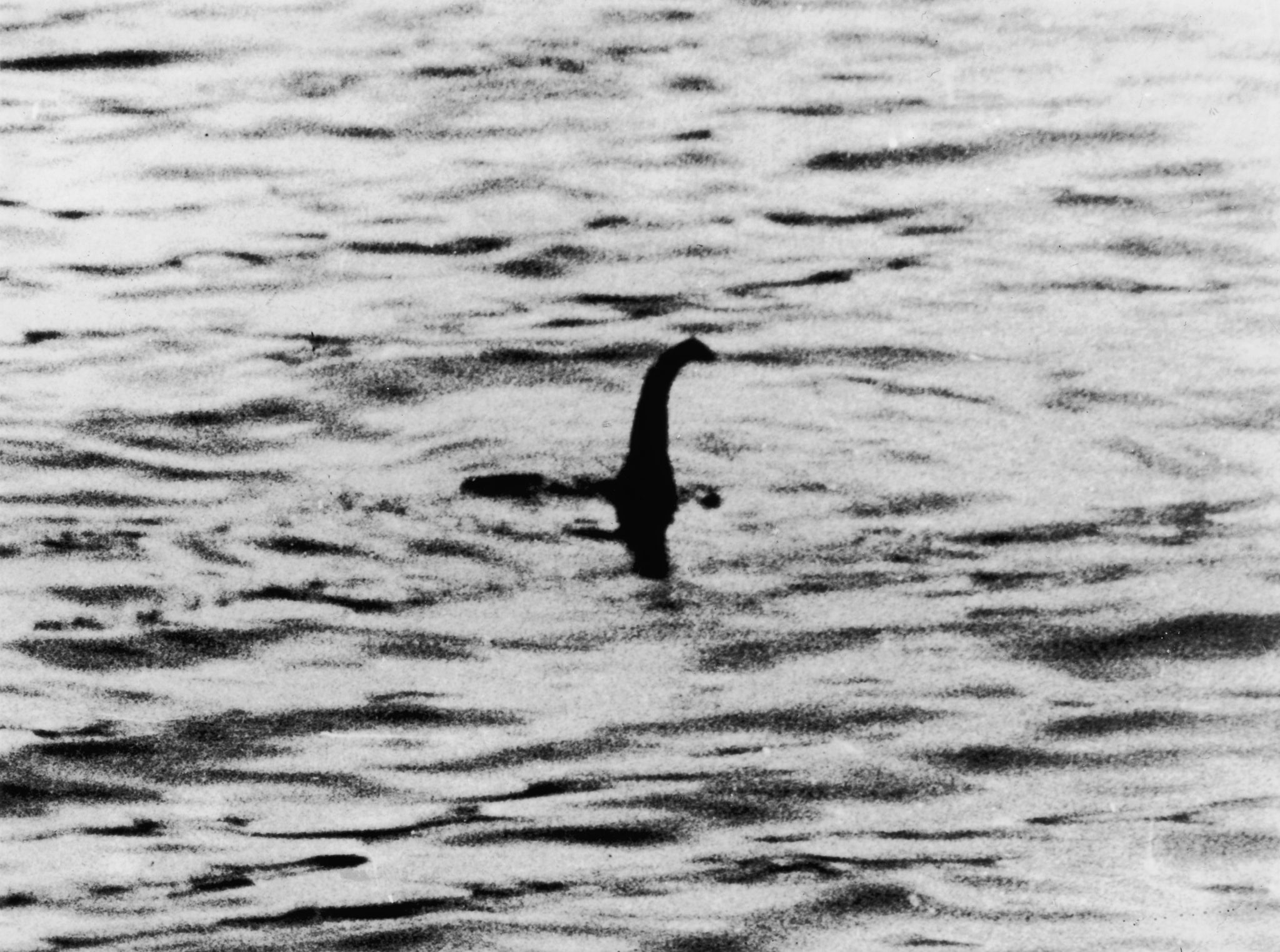 Looking For A Legend: Loch Ness Monster Sightings Through The Ages ...